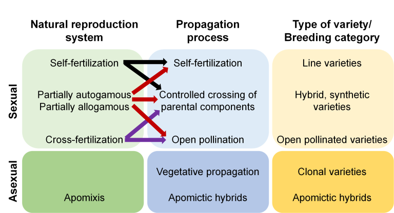 Chapter 1: Molecular Plant Breeding Concepts – Molecular Plant Breeding