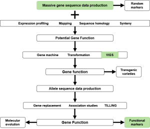 Chapter 1: Molecular Plant Breeding Concepts – Molecular Plant Breeding