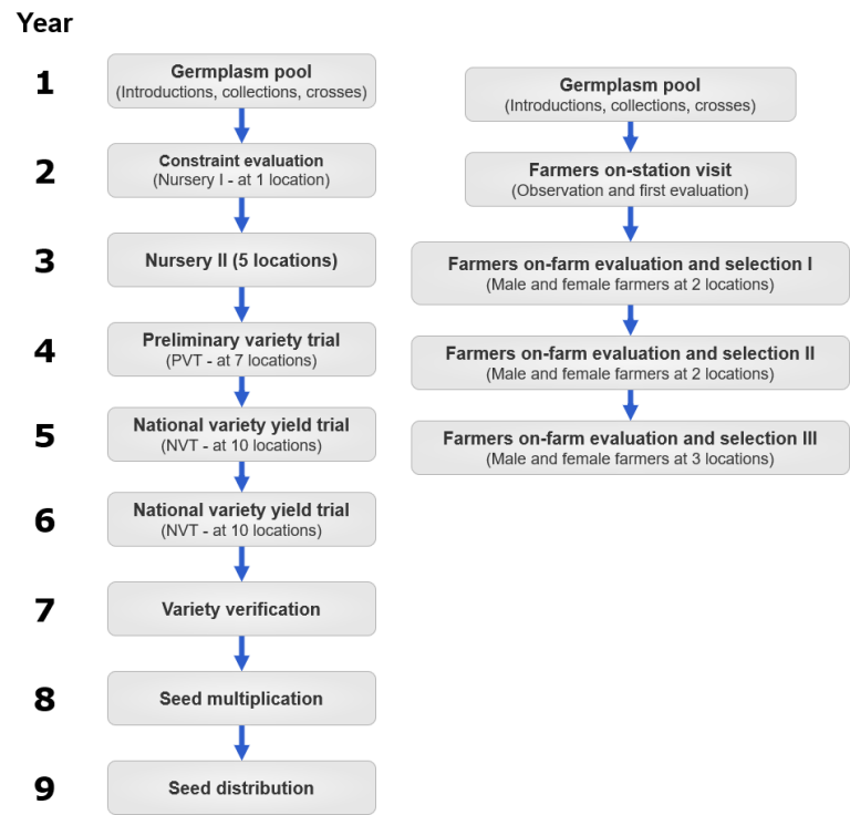 Chapter 7: Participatory Plant Breeding and Participatory Variety ... Chapter 7: Participatory Plant Breeding and Participatory Variety ...