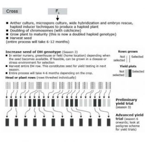 Chapter 6: Breeding Methods – Crop Improvement